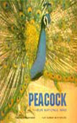 Peacock - Our National Bird by Ajit Kumar Mukherjee – The India Club
