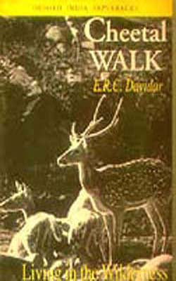 Cheetal Walk by E R C Davidar – The India Club